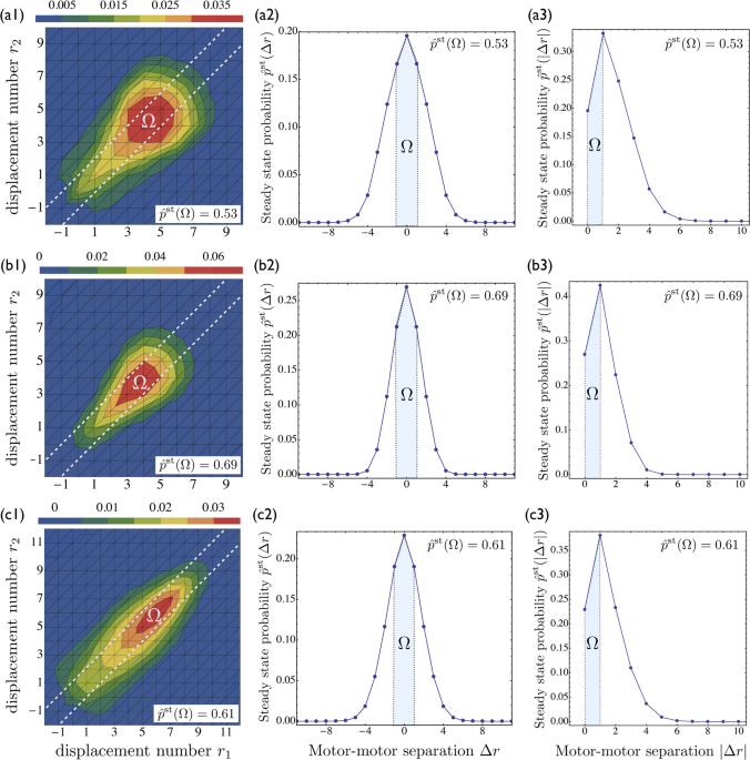 Force sharing and force generation by two teams of elastically coupled ...
