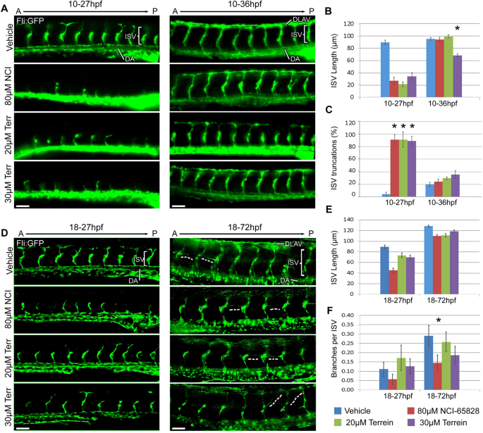 The catalytic activity and secretion of zebrafish RNases are essential ...