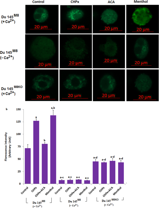 ADP-Ribose and oxidative stress activate TRPM8 channel in prostate ...
