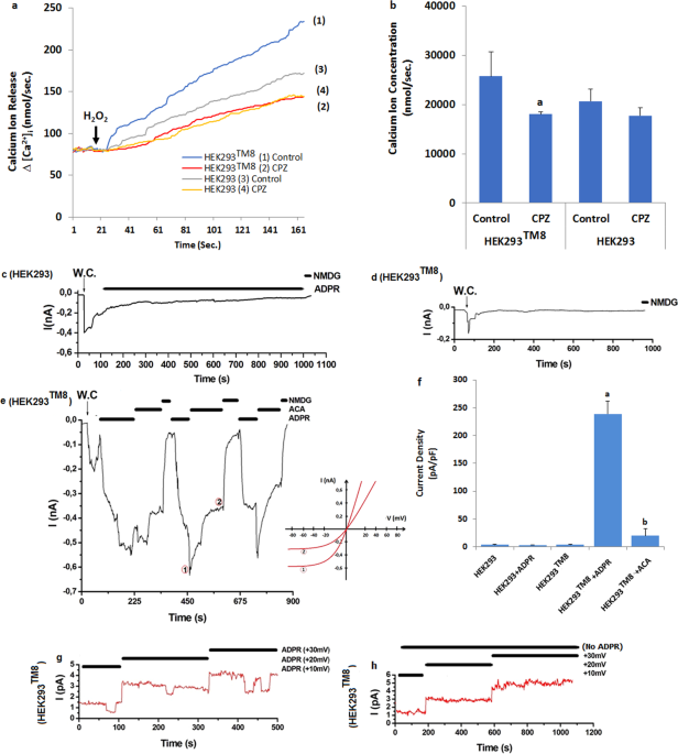 ADP-Ribose and oxidative stress activate TRPM8 channel in prostate ...