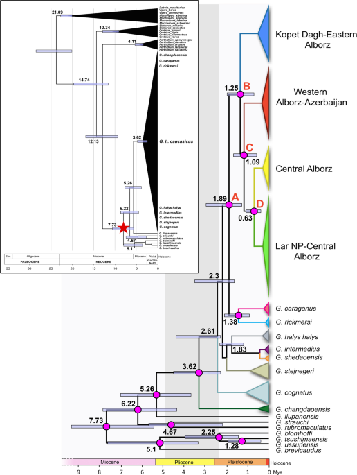 Evolutionary history and postglacial colonization of an Asian pit viper ...