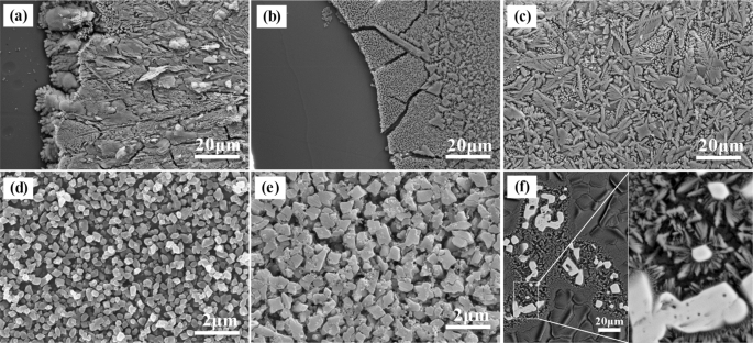 Preparation of Glass-ceramics Using Chromium-containing Stainless Steel ...