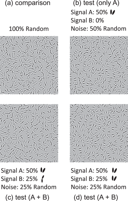 Co-circularity opponency in visual texture | Scientific Reports