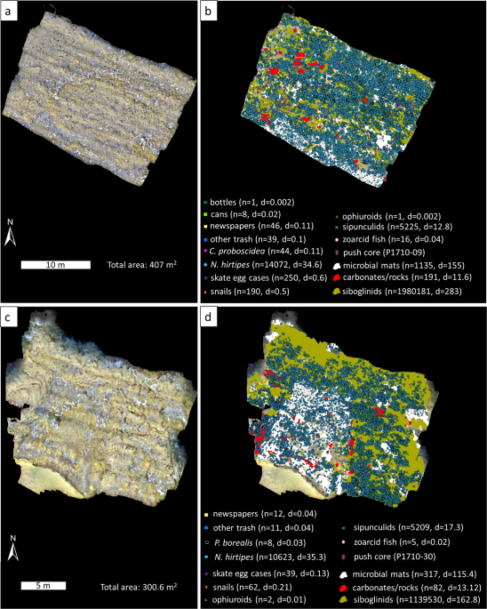 Atypical biological features of a new cold seep site on the Lofoten ...