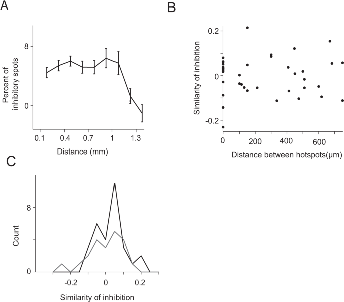 Strong, weak and neuron type dependent lateral inhibition in the ...