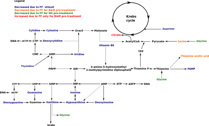 Metabolomics reveals citric acid secretion in mechanically–stimulated ...