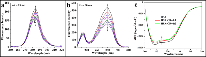 Computational and spectroscopic analysis of interaction between food ...
