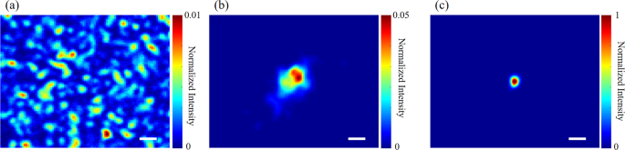 Implementation of digital optical phase conjugation with embedded ...