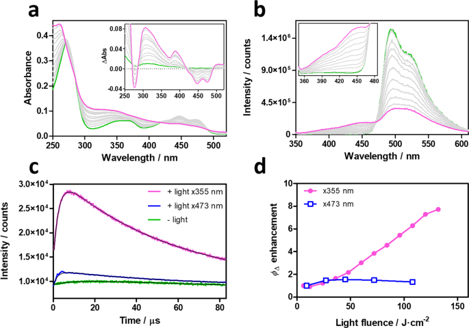 Tailing miniSOG: structural bases of the complex photophysics of a ...