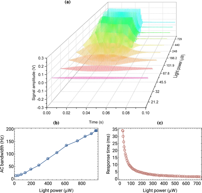 Different sensitivities of two optical magnetometers realized in the ...