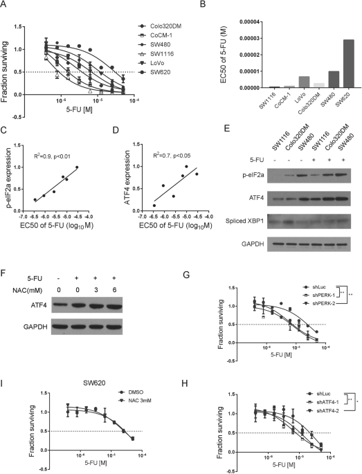 Activation of the PERK-ATF4 pathway promotes chemo-resistance in colon ...