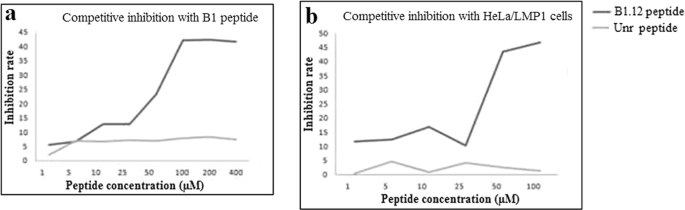 B1.12: a novel peptide interacting with the extracellular loop of the ...