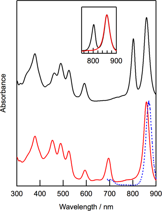 Selective oxidation of B800 bacteriochlorophyll a in photosynthetic ...