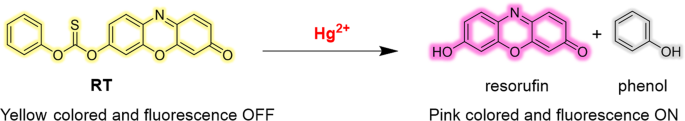 Novel Hg 2+ -Selective Signaling Probe Based on Resorufin Thionocarbonate and its μ PAD ...