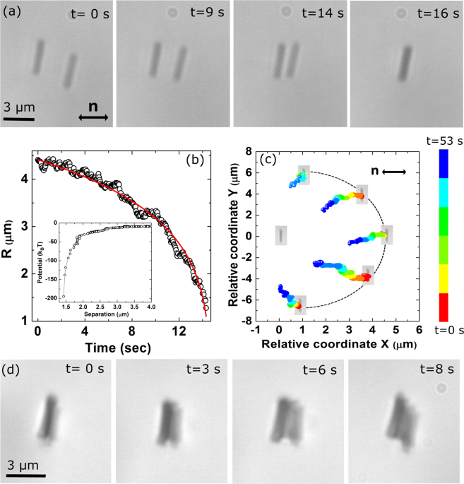 Colloidal analogues of polymer chains, ribbons and 2D crystals ...