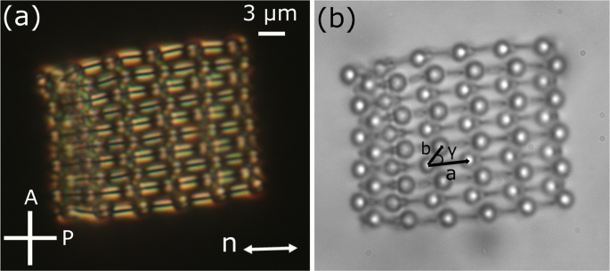 Colloidal analogues of polymer chains, ribbons and 2D crystals ...