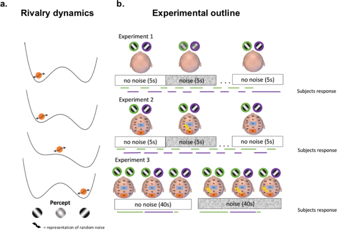 Altering brain dynamics with transcranial random noise stimulation ...