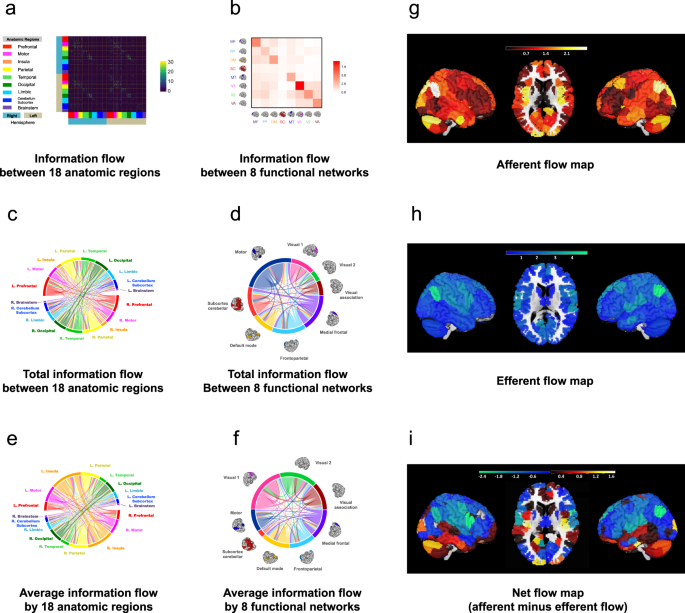 Resting-state brain information flow predicts cognitive flexibility in ...