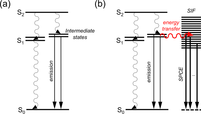 Metal-enhanced fluorescence and excited state dynamics of carotenoids ...