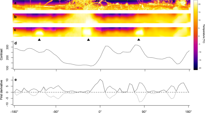 Infrared-sensing snakes select ambush orientation based on thermal ...