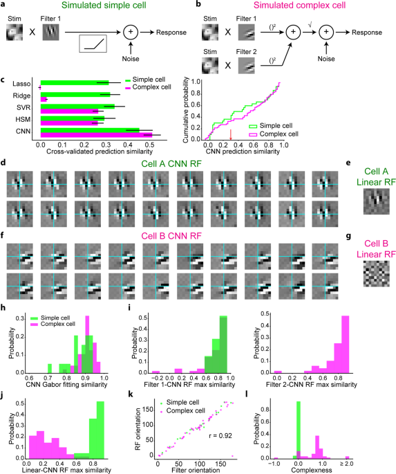 Characterisation of nonlinear receptive fields of visual neurons by ...