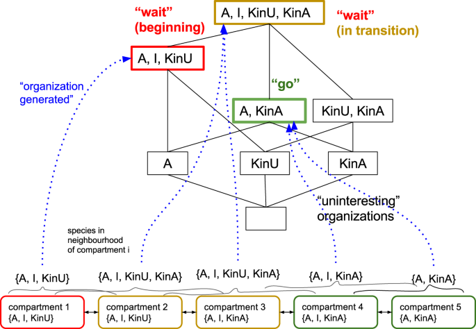 Multi Scale Stochastic Organization Oriented Coarse Graining