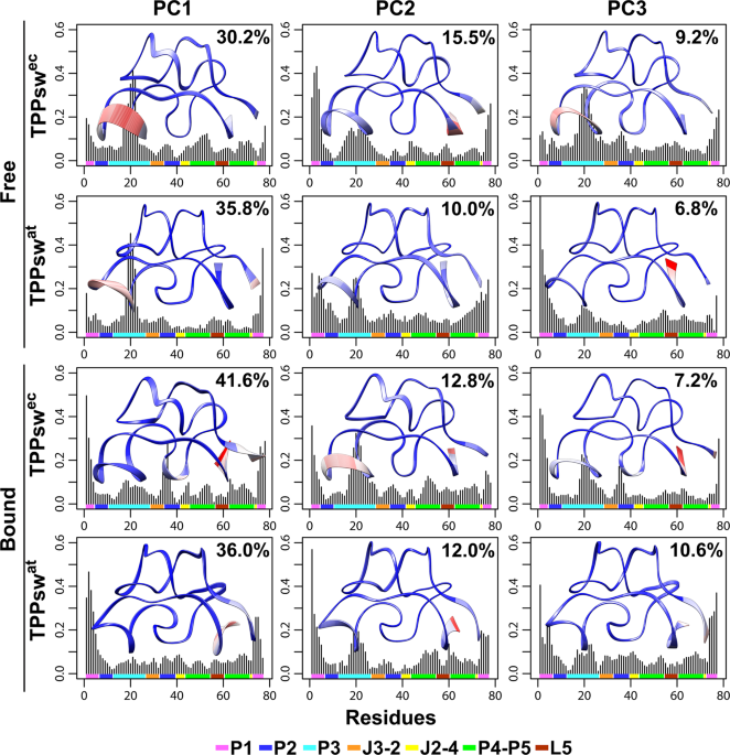 Unraveling RNA dynamical behavior of TPP riboswitches: a comparison ...