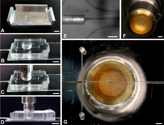 Sizing biological cells using a microfluidic acoustic flow cytometer ...