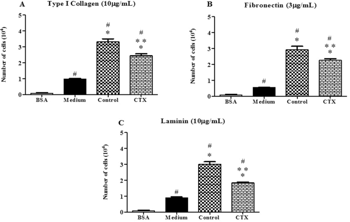 Crotoxin promotes macrophage reprogramming towards an antiangiogenic ...