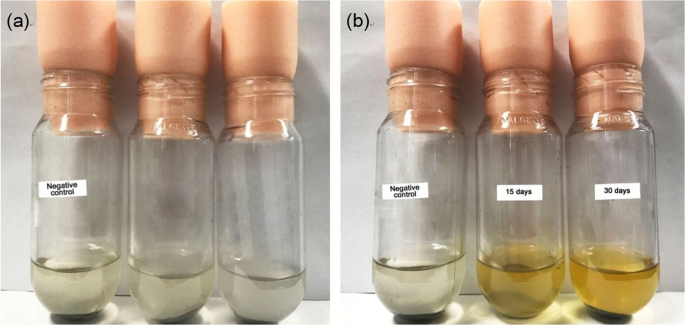 Gold Dissolution from Ore with Iodide-Oxidising Bacteria | Scientific ...