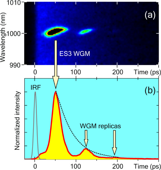Dynamics of Broadband Lasing Cascade from a Single Dot-in-well InGaAs ...