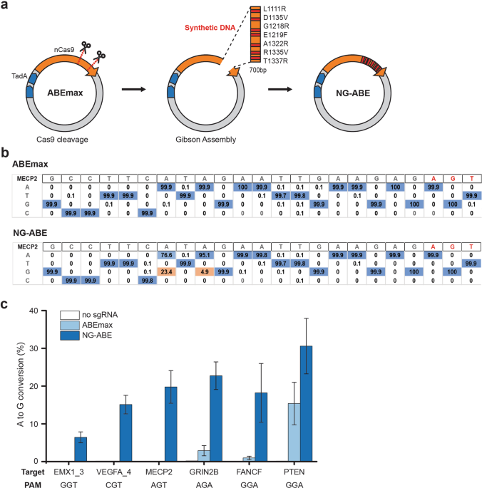 Construction of non-canonical PAM-targeting adenosine base editors by ...