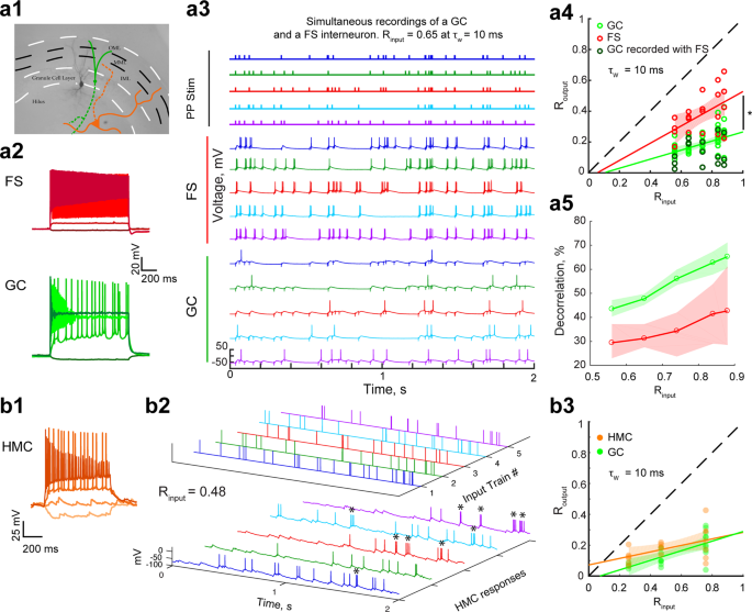 Pattern separation of spiketrains in hippocampal neurons | Scientific Reports