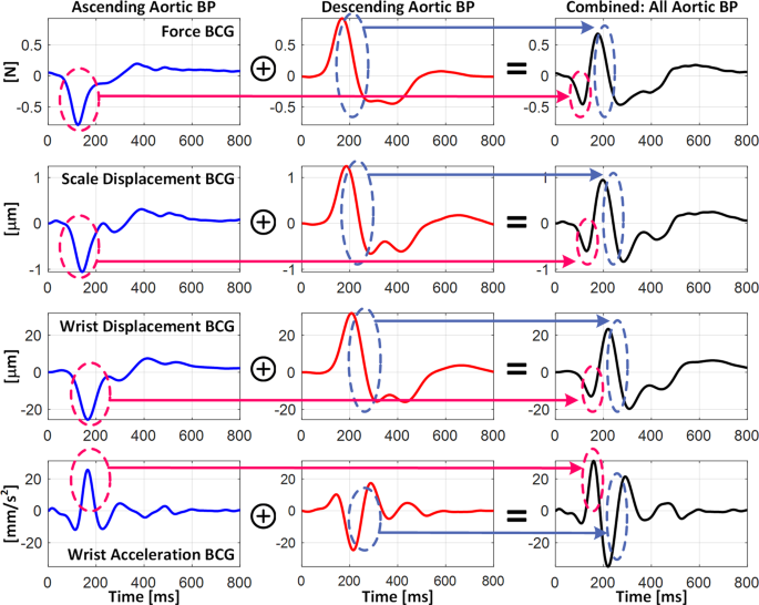 Physiological Association between Limb Ballistocardiogram and Arterial Blood Pressure Waveforms ...