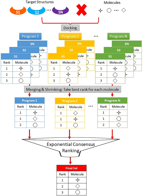 Exponential consensus ranking improves the outcome in docking and receptor ensemble docking ...
