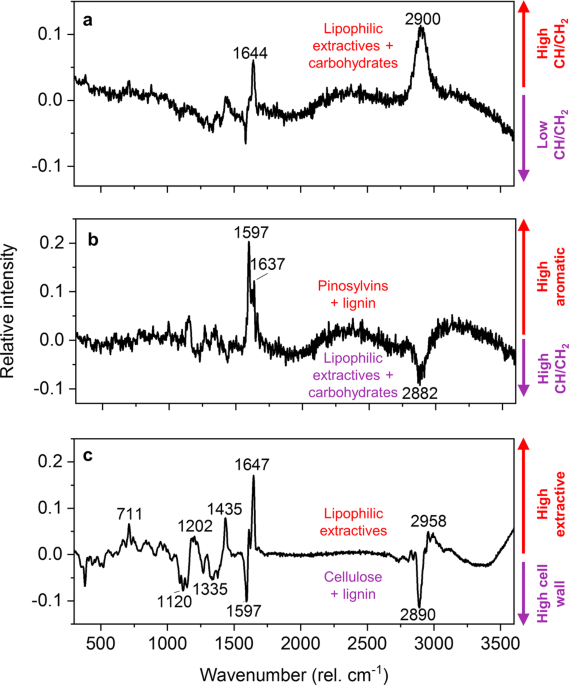 Cellular level chemical changes in Scots pine heartwood during ...