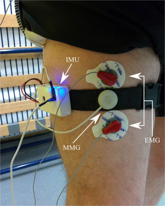 Segmenting Mechanomyography Measures of Muscle Activity Phases Using ...