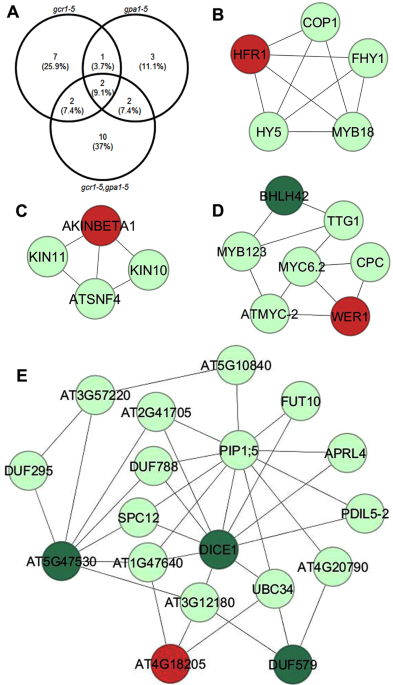 GCR1 and GPA1 coupling regulates nitrate, cell wall, immunity and light ...