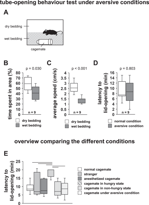 Helping-Like Behaviour in Mice Towards Conspecifics Constrained Inside ...
