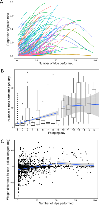Honey bees increase their foraging performance and frequency of pollen ...