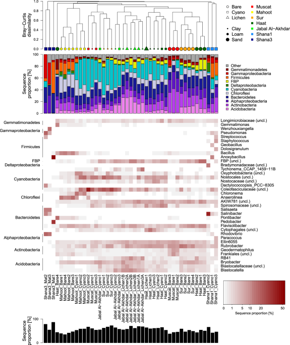 Habitat-dependent composition of bacterial and fungal communities in ...