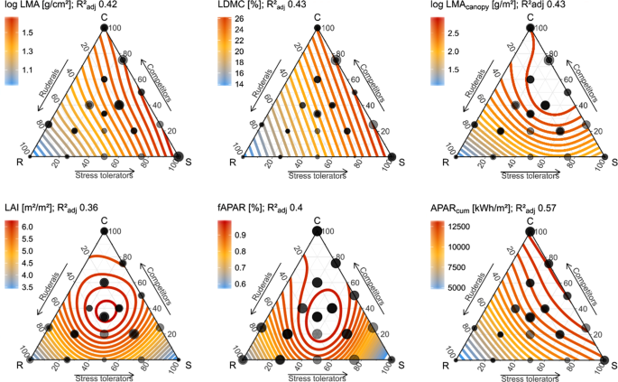 Radiative transfer modelling reveals why canopy reflectance follows ...