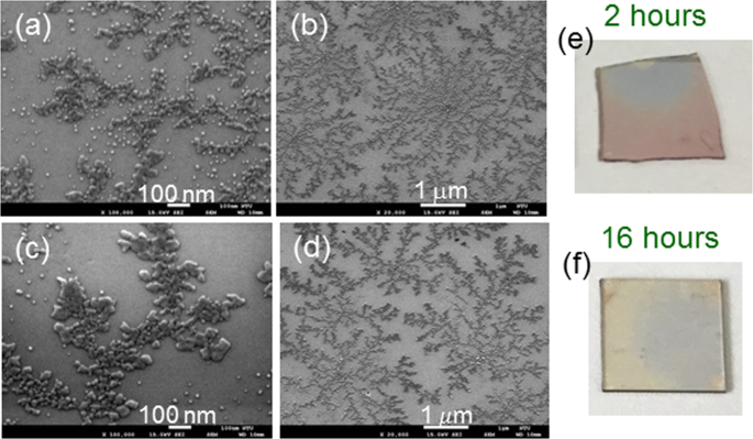 Formation of Surface Silver Nano-network Structures through Hot ...