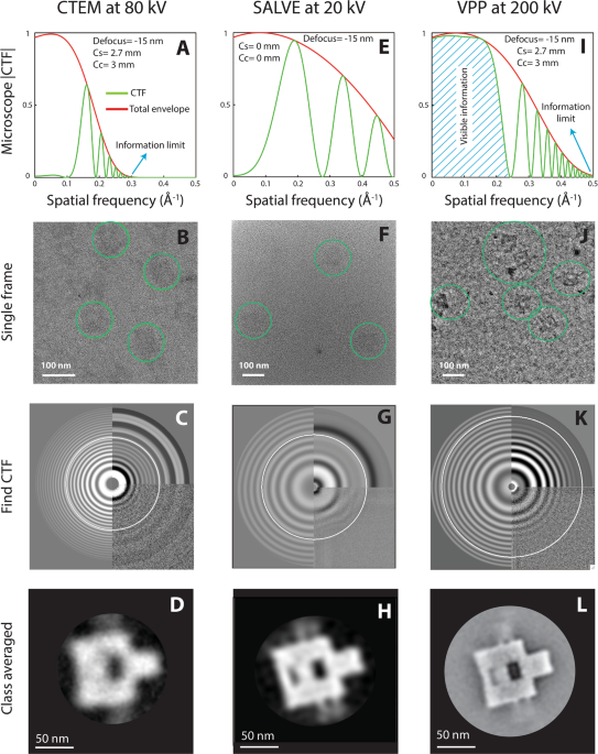 Visualization of unstained DNA nanostructures with advanced in-focus ...