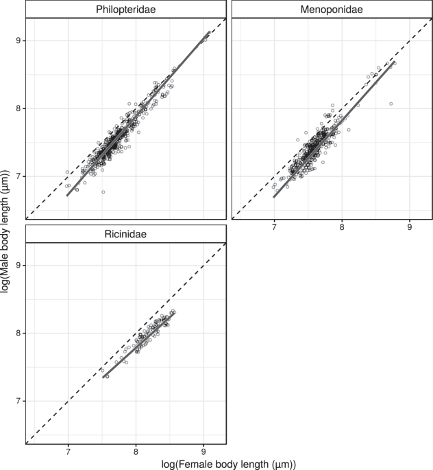 Rensch’s rule in avian lice: contradictory allometric trends for sexual ...