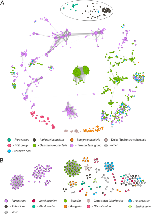 Characterization of the virome of Paracoccus spp. ( Alphaproteobacteria ...