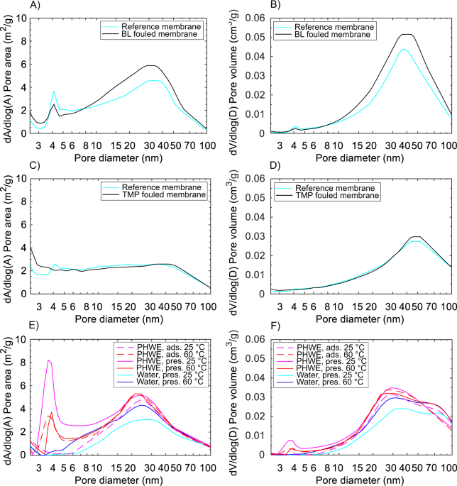 Analysis of membrane fouling by Brunauer-Emmett-Teller nitrogen adsorption/desorption technique ...
