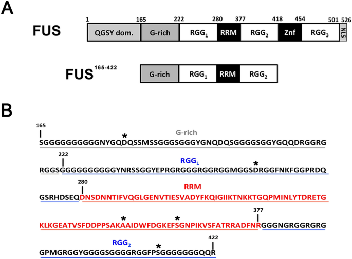 A combined NMR and EPR investigation on the effect of the disordered ...