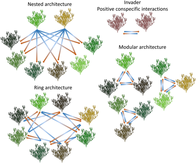 Plant interactions can lead to emergent relationships between plant ...