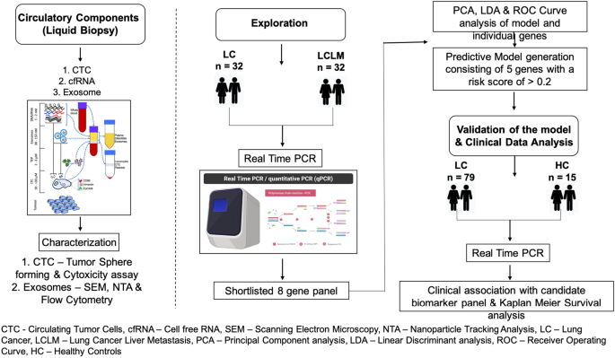 A novel algorithm to differentiate between primary lung tumors and ...
